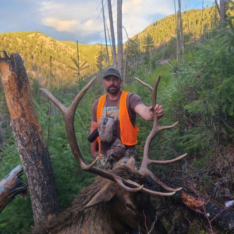 Elk Hunting - Crazy Creek Outfitters